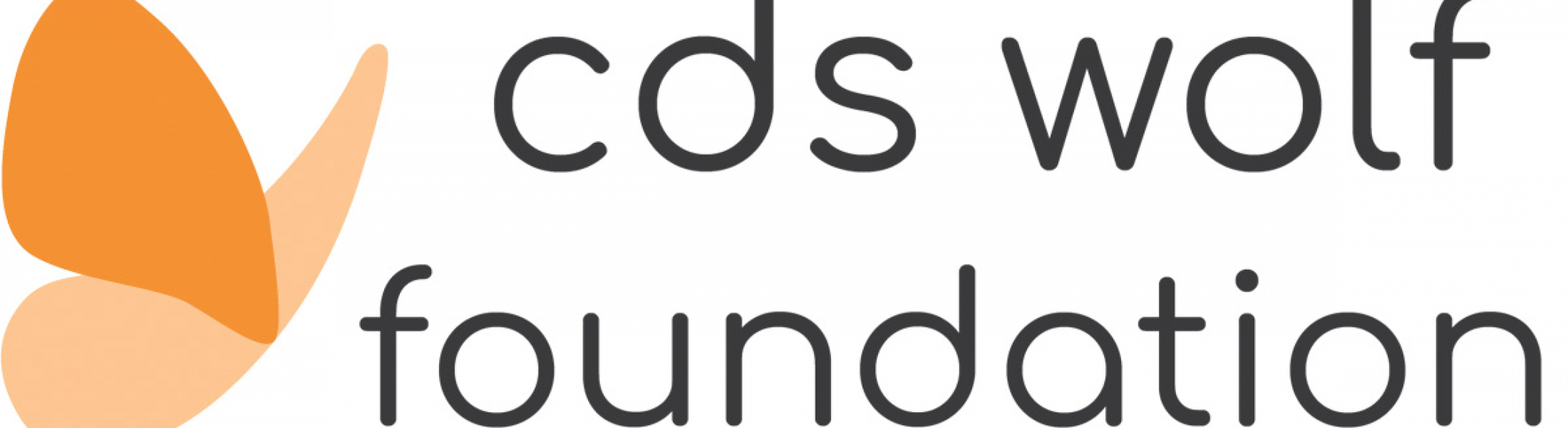 David Greenman Named Executive Director of CDS Wolf Foundation - CDS ...